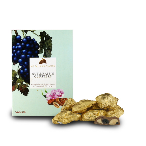 Nut and Raisin Clusters ( Fruit and Nut Chocolate Rocks) – La Chocoallure
